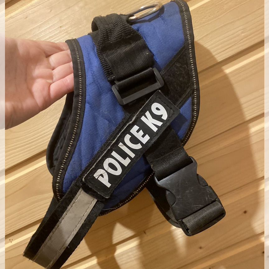 Набор для щенка