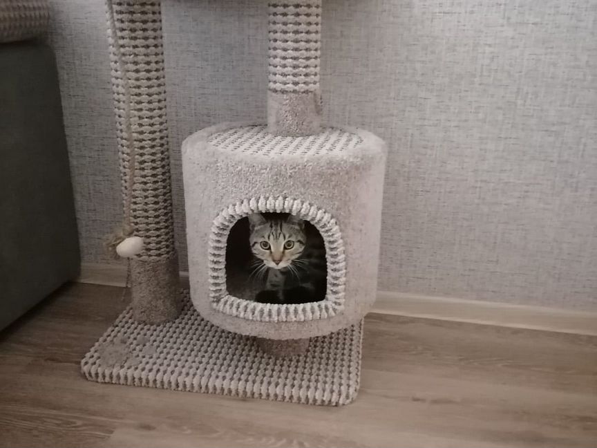 Домик для котика