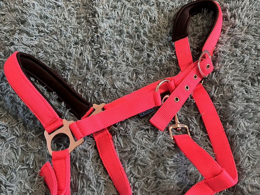 Недоуздок для лошади