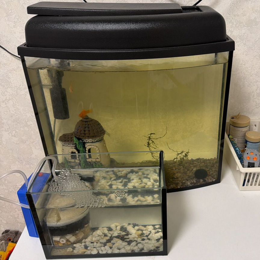 Два аквариума с рыбками