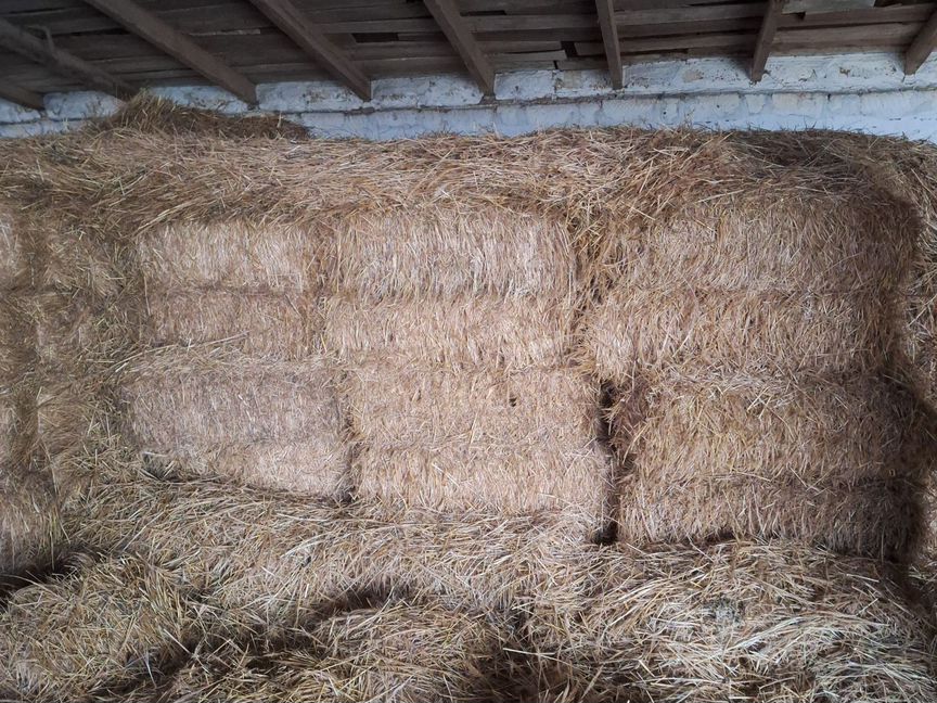 Солома проссо в тюках