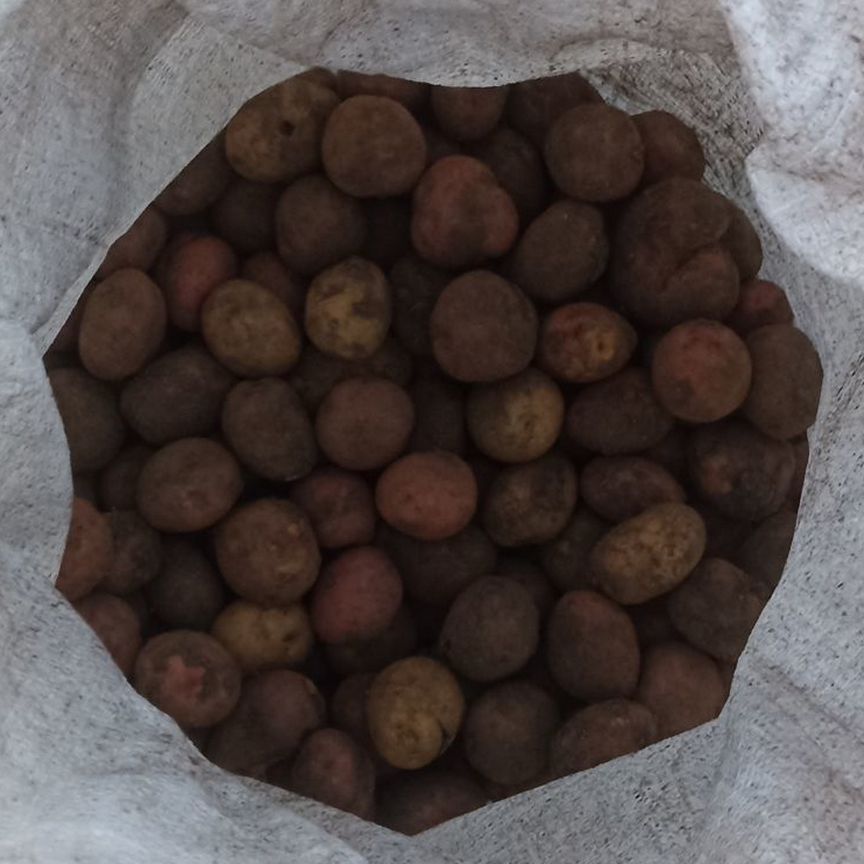 Мелкая картошка