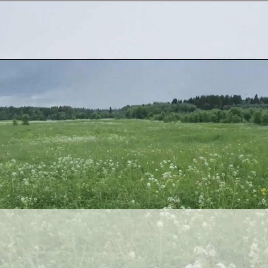 Разнотравье, сено, покос