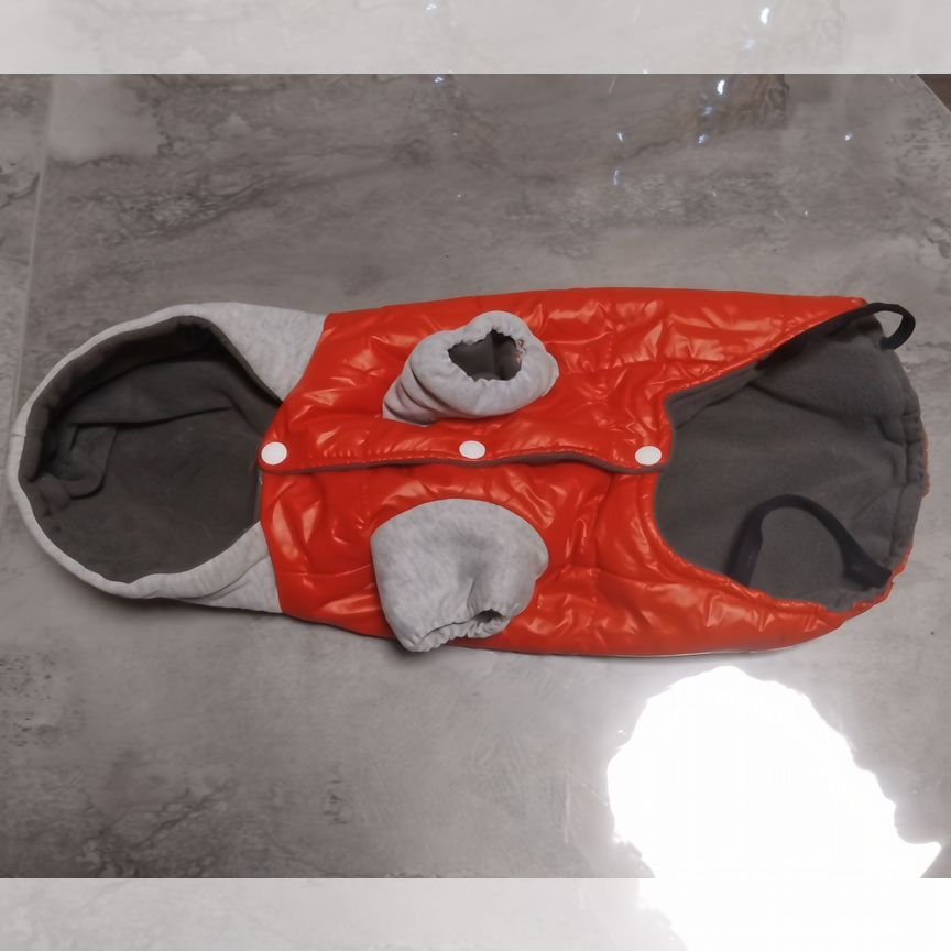 Одежда для маленьких собак чихуахуа