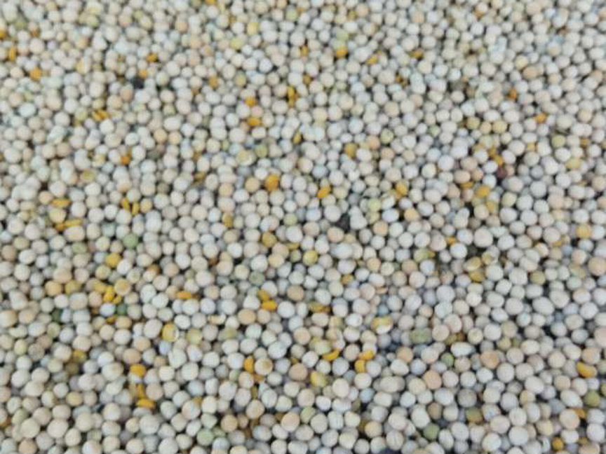 Кукуруза,Горох