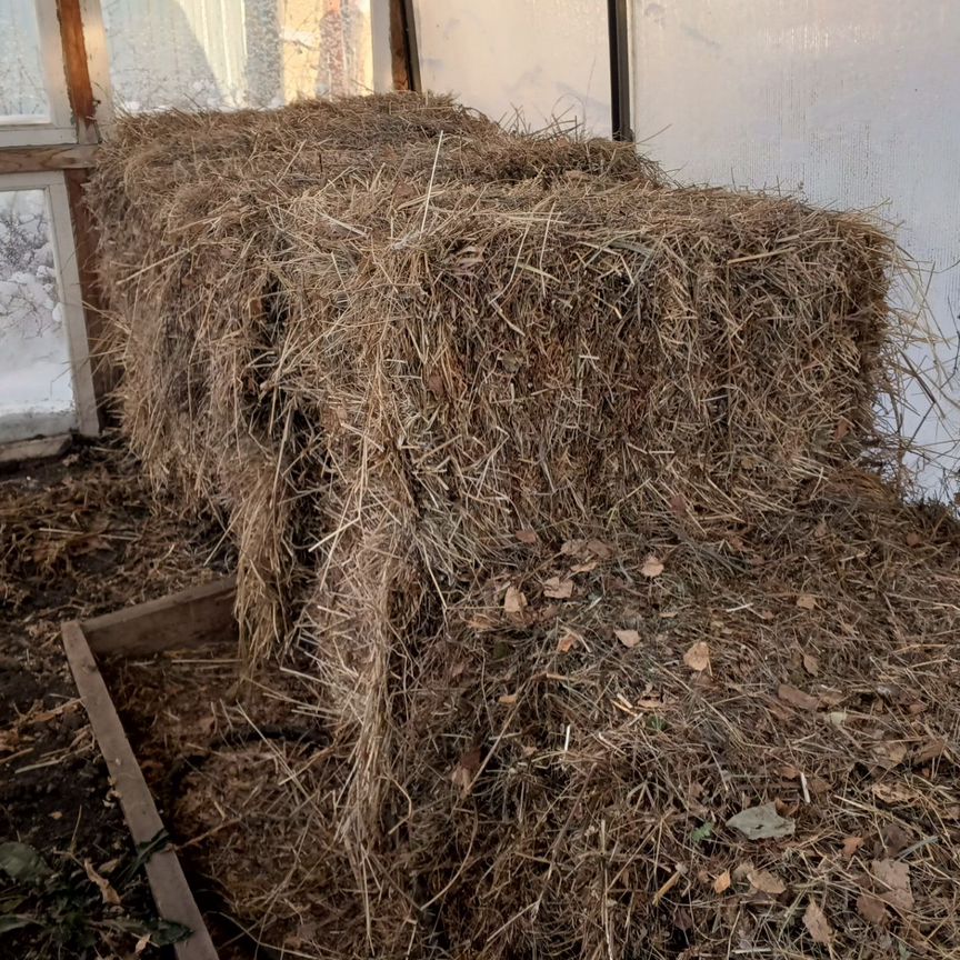 Сено в тюках