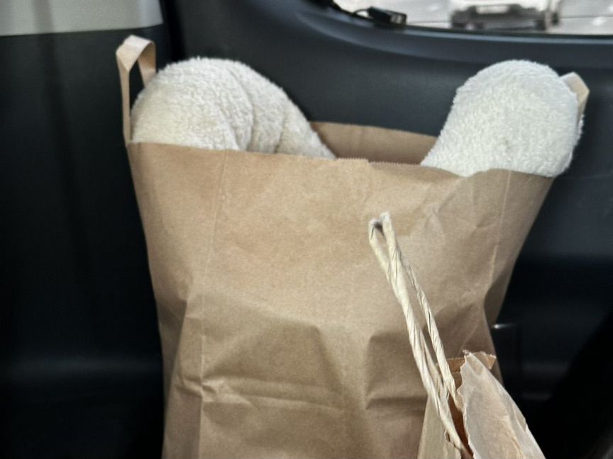 Вещи для маленьких собак