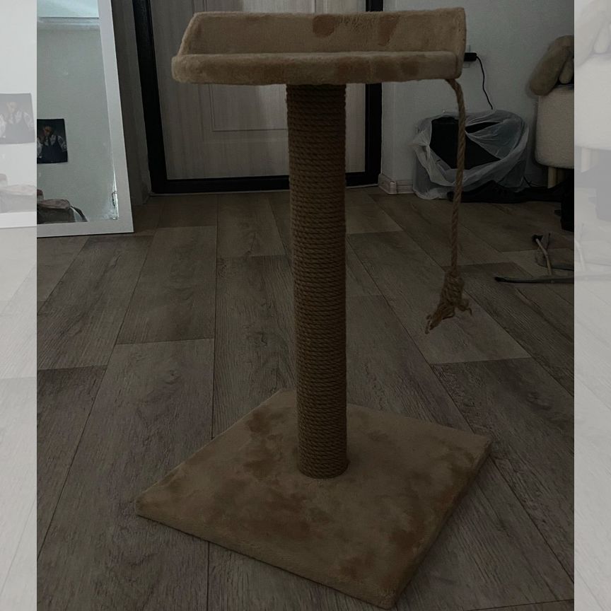 Когтеточка для кошек