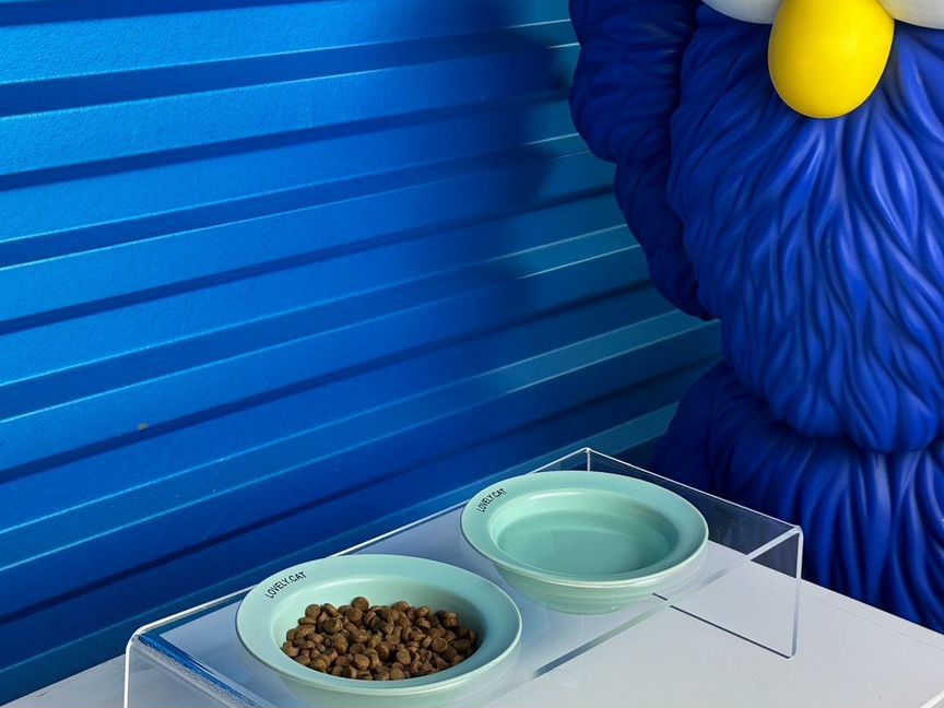 Миски для кошек И собак