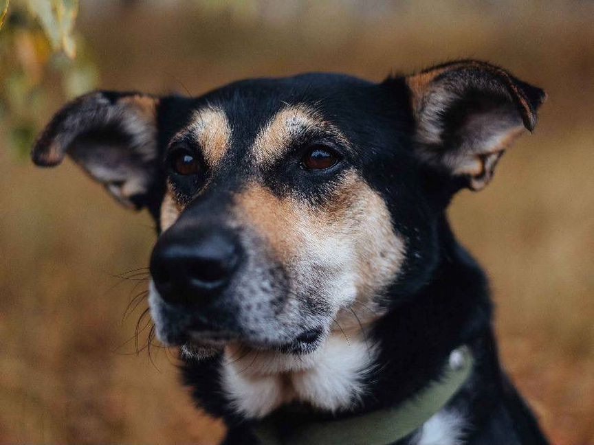 Чарующая и загадочная Мэй ищет дом