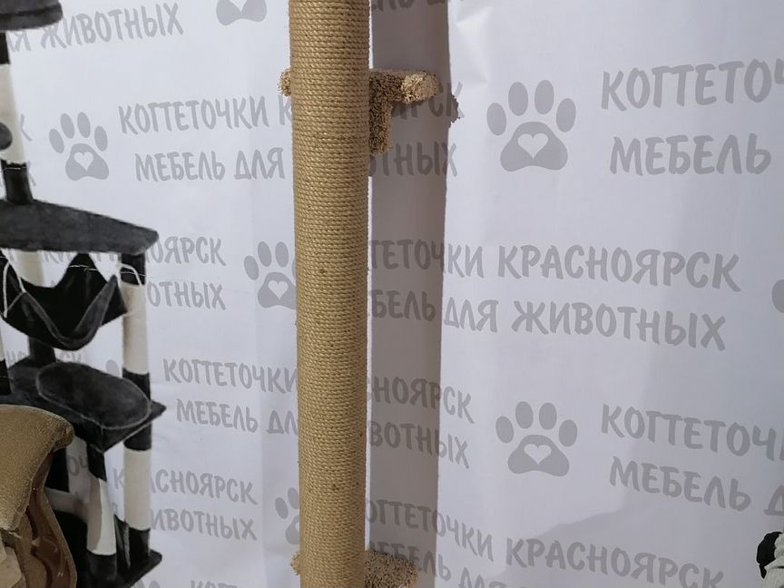 Когтеточка высокая
