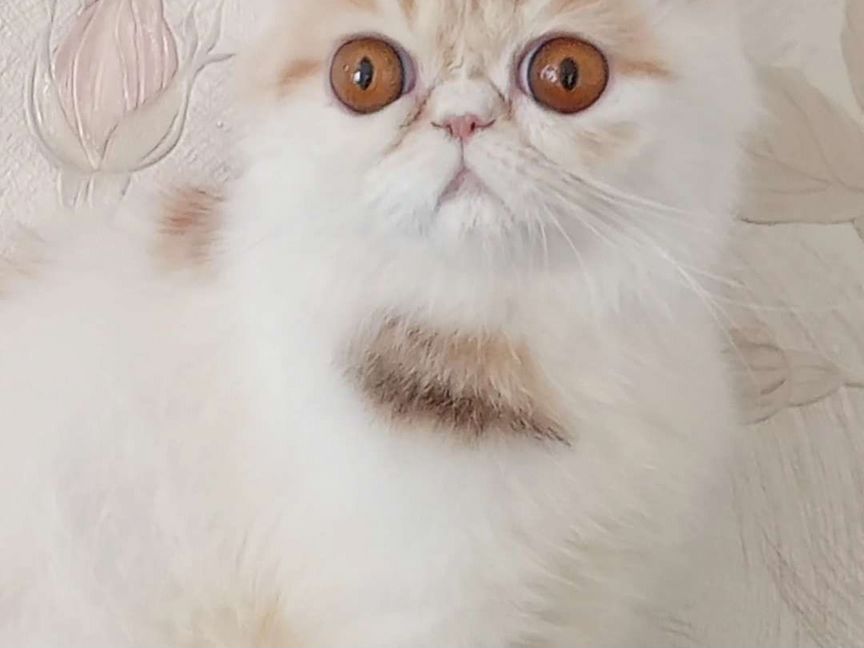 Экзотическая