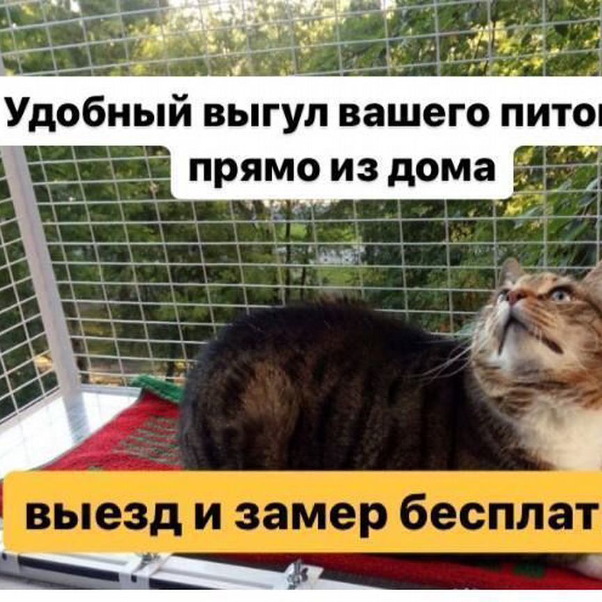 Балкончик для выгула кошки