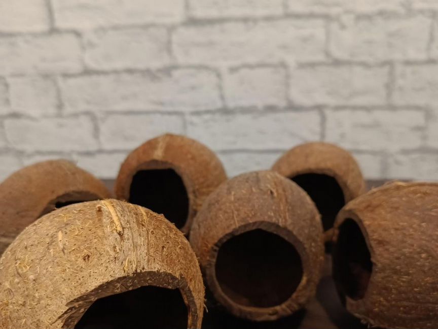 Кокосы для аквариума