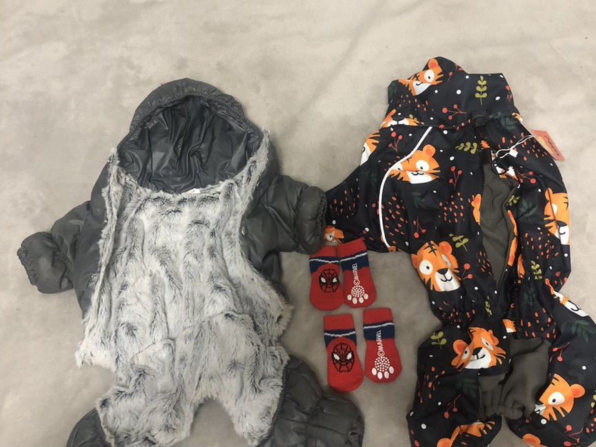 Одежда для собак мелких пород