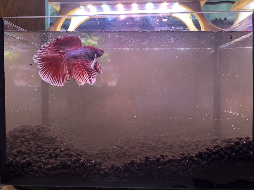 Готовое решение