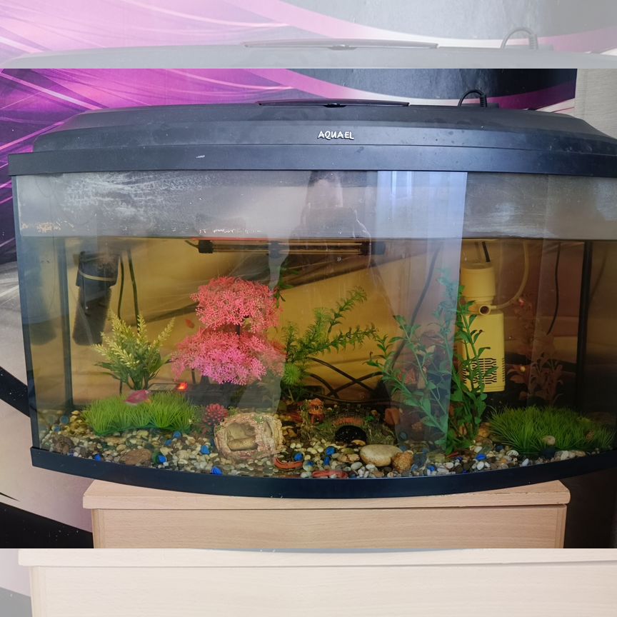Аквариум