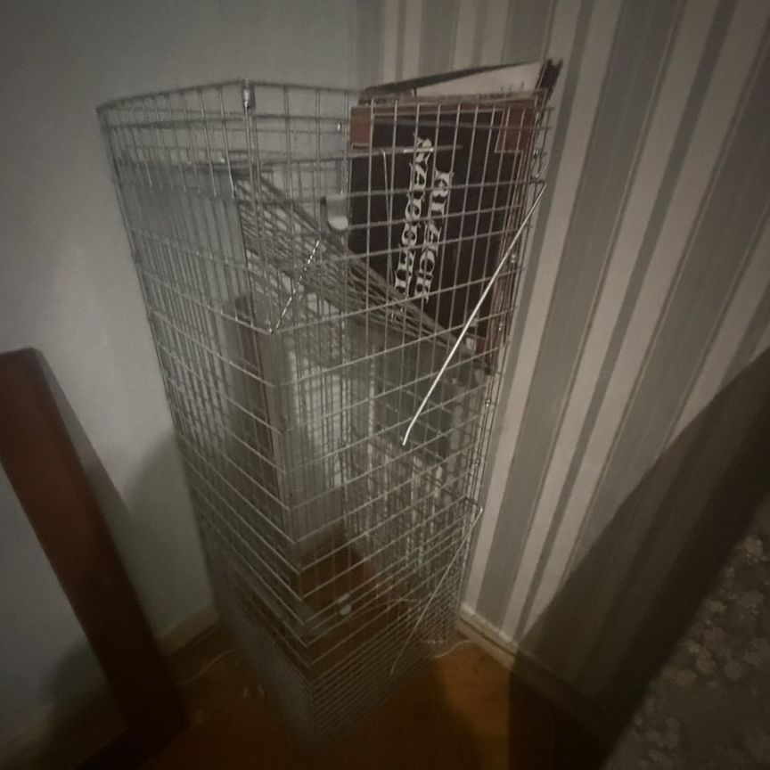 Котоловка