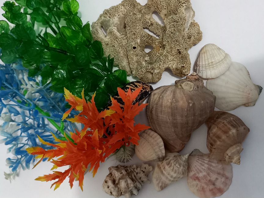 Декор в аквариум водоросли искусственные ракушки