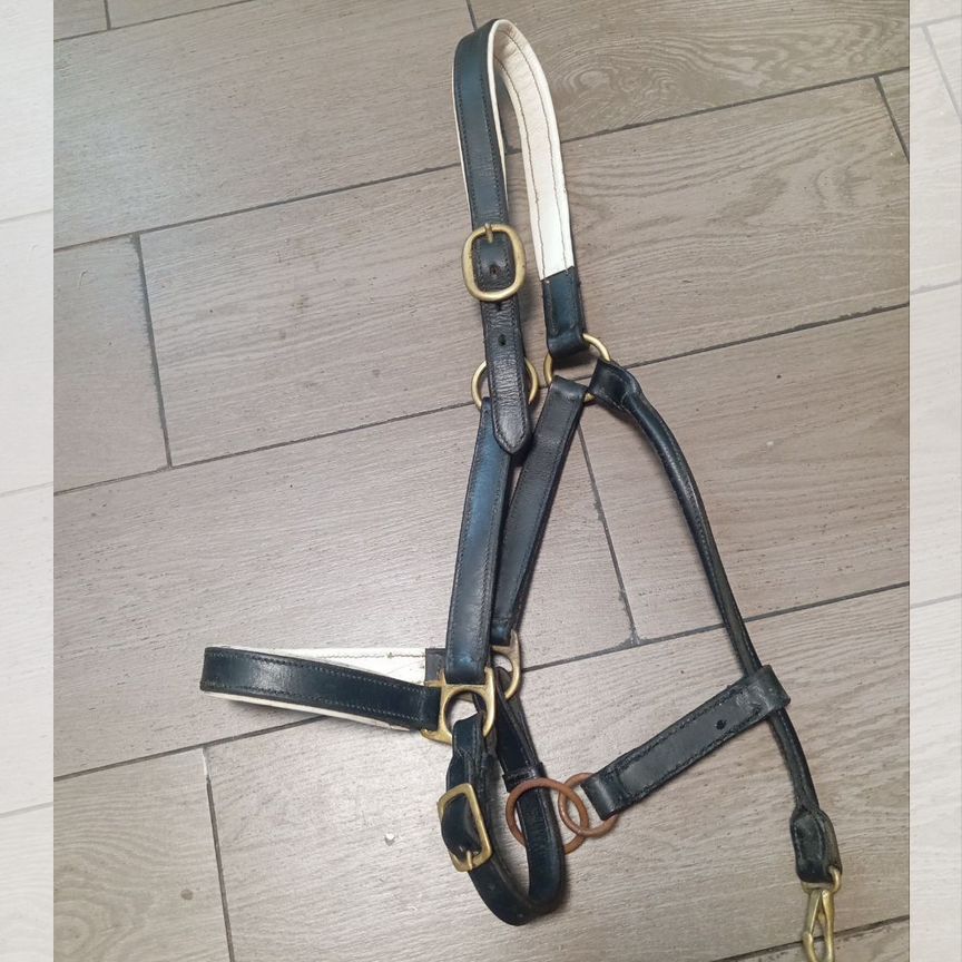 Недоуздок для лошади