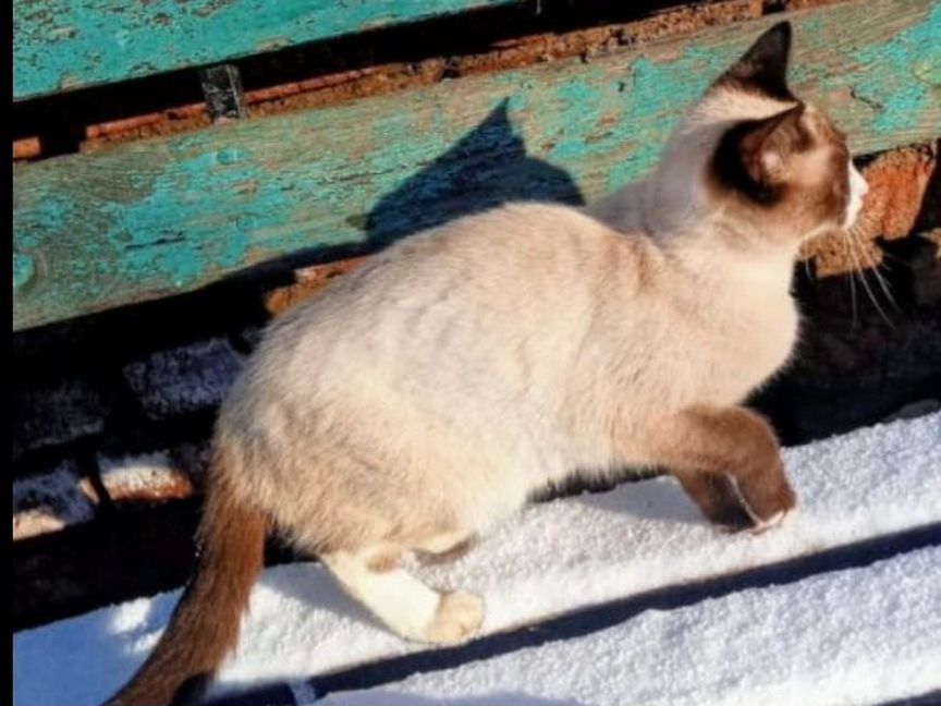 Спасите нас