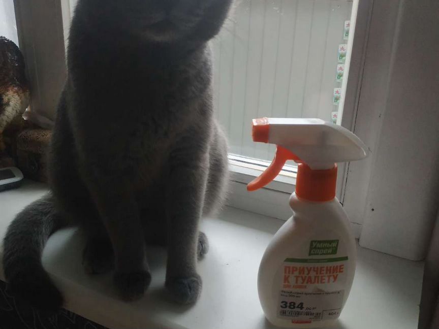Спрей "приучение к туалету"
