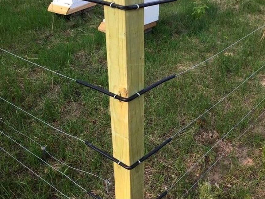 Электропастух для мясных крс