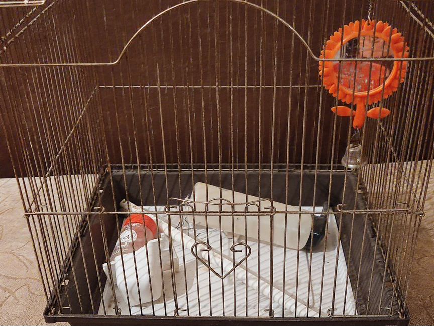 Клетка для попугая бу