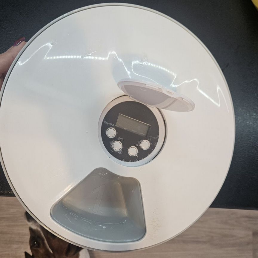 Автоматическая кормушка для кошек и собак