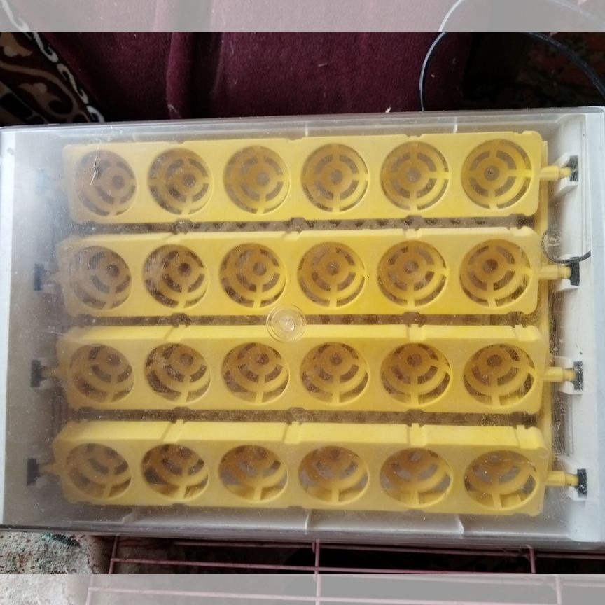 Инкубатор для яиц автоматический бу