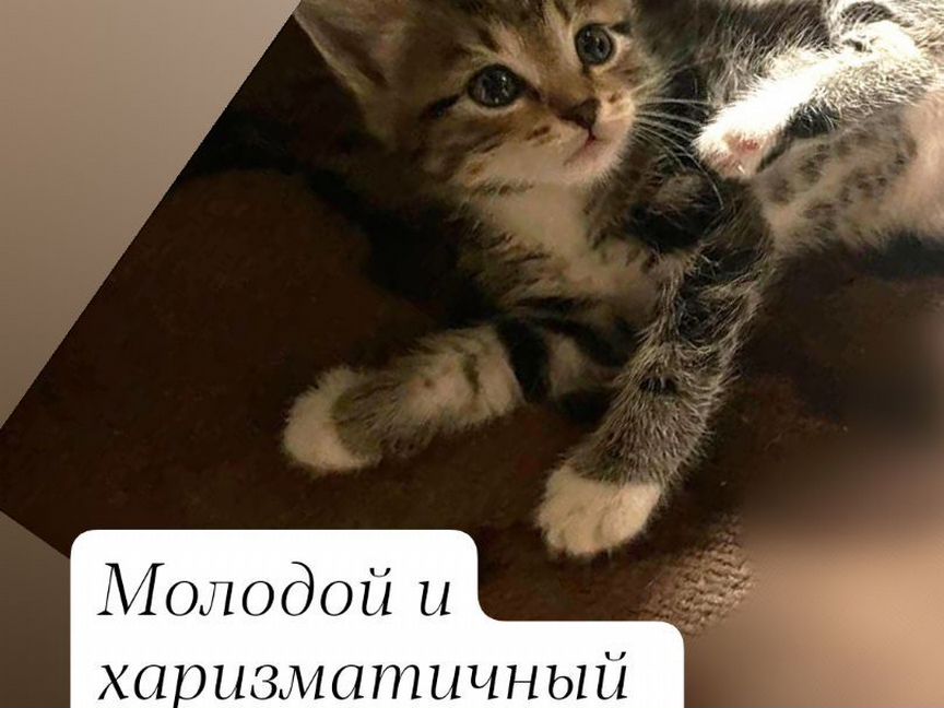 2 молодых парня в поисках любящей семьи