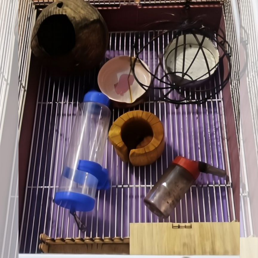 Клетка для грызунов большая