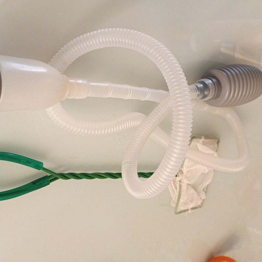 Сифон аквариумный   сачок