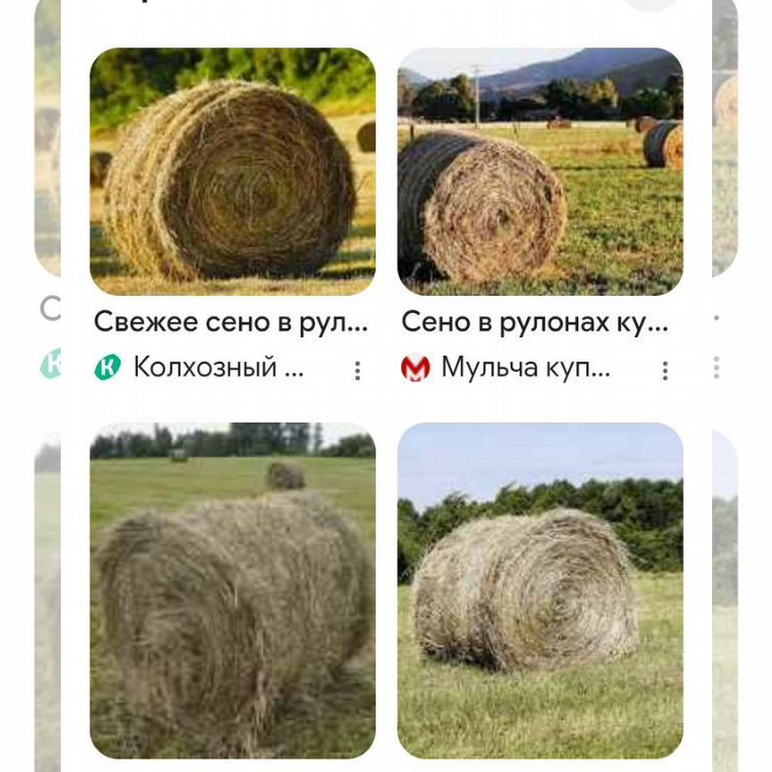 Продам сено в рулонах