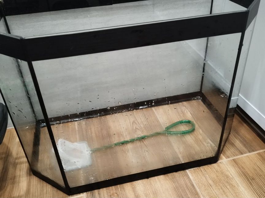 Аквариум с растениями, с аксессуарами, с гуппи