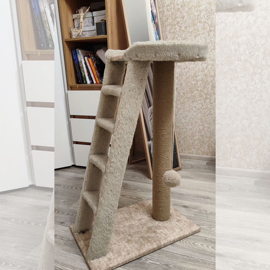 Когтеточка