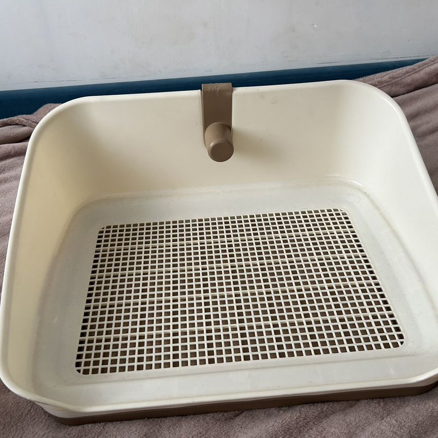 Собачий лоток