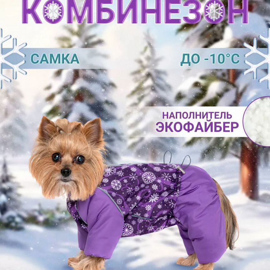 Костюм для собаки