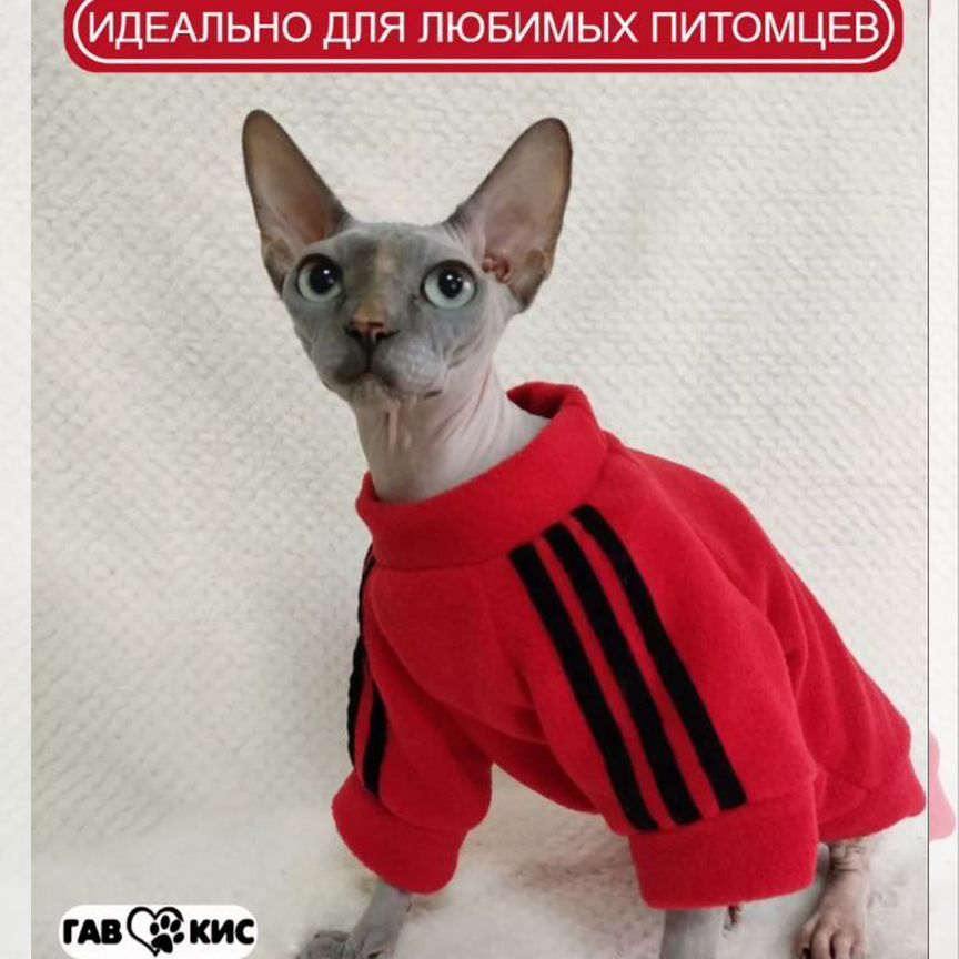 Толстовка для кошек и собак р L