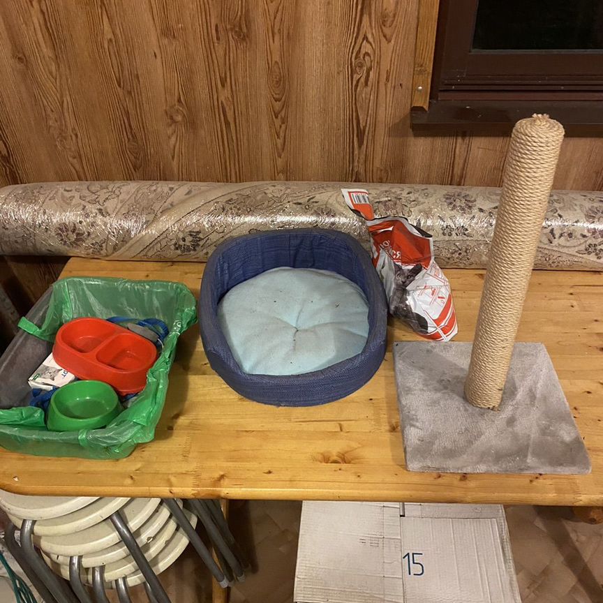 Кошачие принадлежности