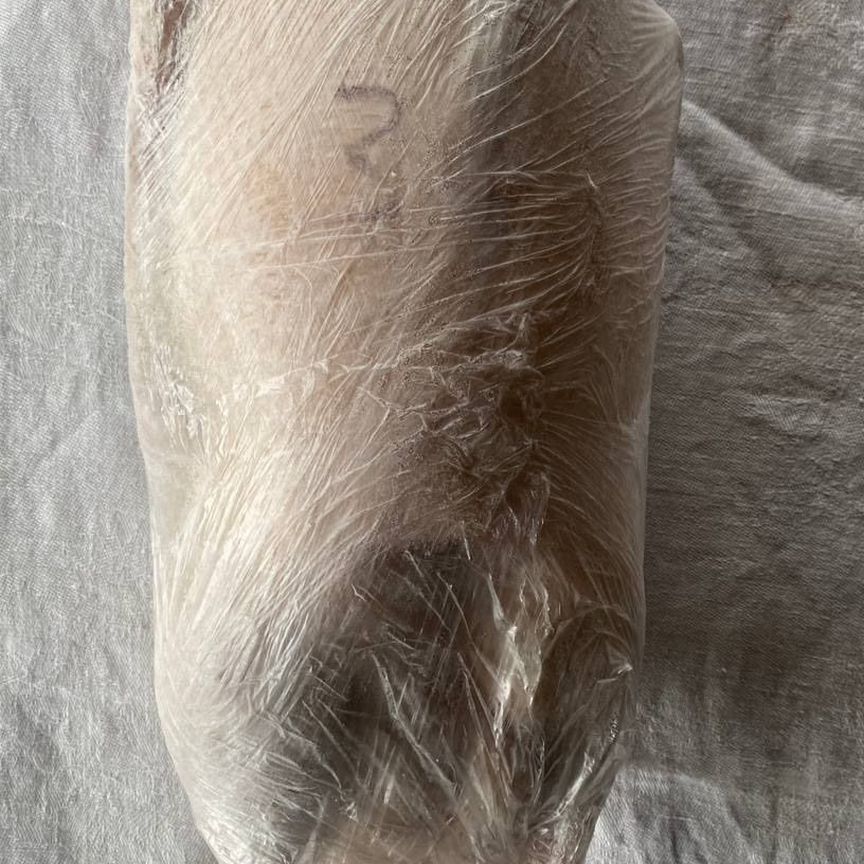 Продаются домашние гуси Порода: итальянка