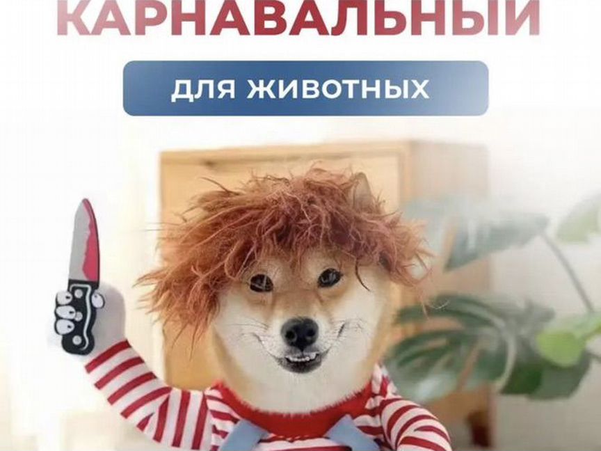Одежда для собак