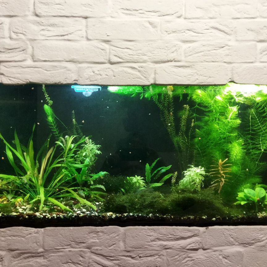 Украшение для аквариума