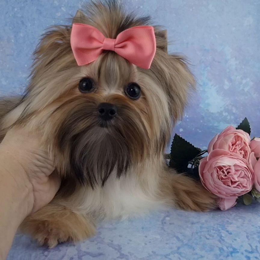 Маленькая Мини Принцесса