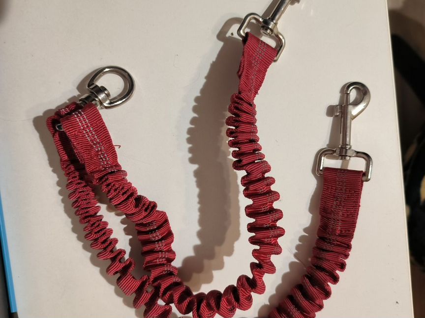 Сворка для собак