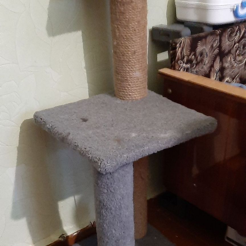 Когтеточка домик для кошки бу