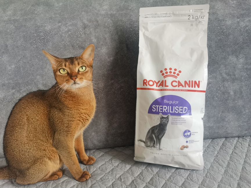 Royal canin sterilised
