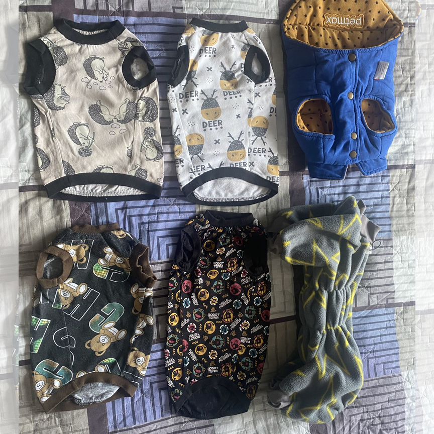 Одежда для животных (кошек и собак)