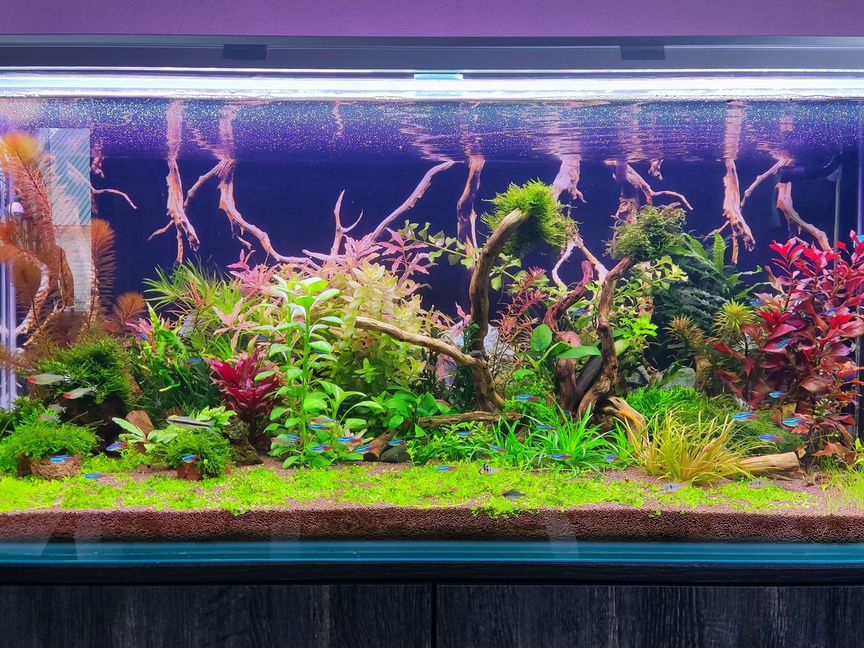 Светильник Chihiros A1201 MAX