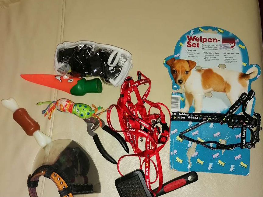 Принадлежности для щенка собаки